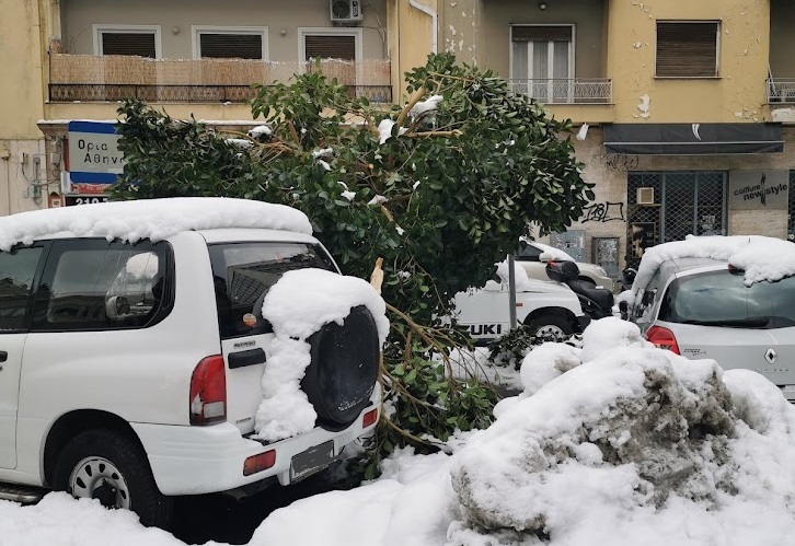 Ο Δήμος Ζωγράφου θα αποζημιώσει τα οχήματα που έπαθαν ζημιές από πτώση ...