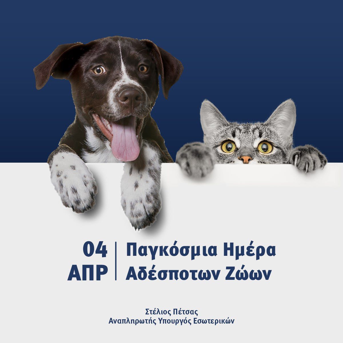 Δήλωση Στ.Πέτσα για την Παγκόσμια Ημέρα Αδέσποτων Ζώων - ΚΕΔΕ