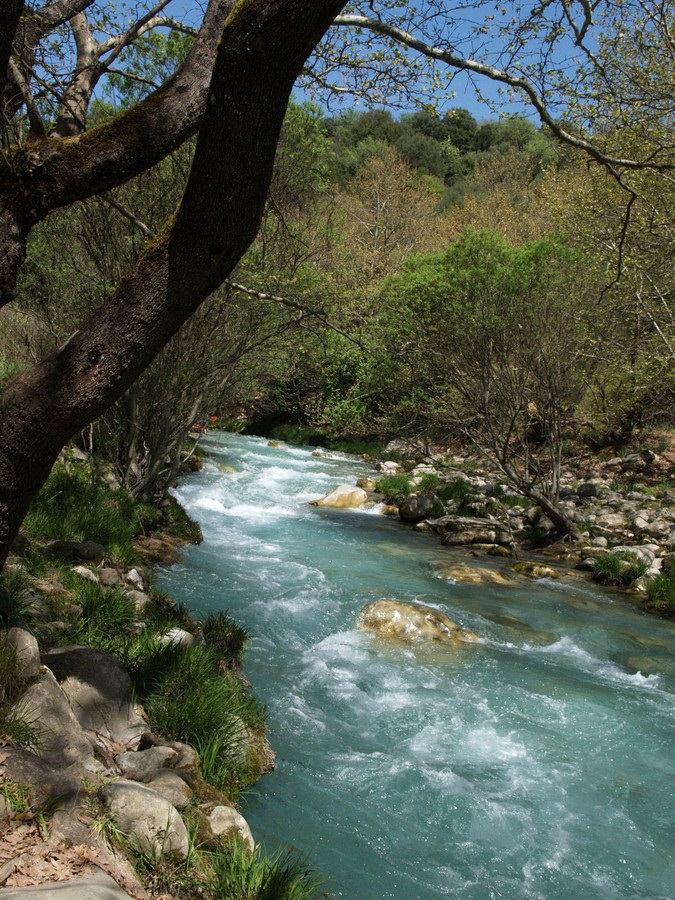 «Δίκτυο δήμων Αλφειός ποταμός - Το ποτάμι που μας ενώνει» με τη ...