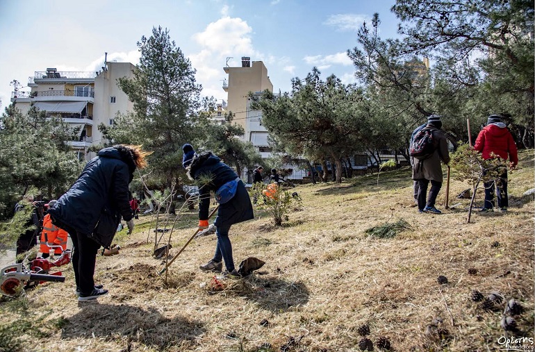 Σε δενδροφύτευση του Άλσους Βώκου προχωρά ο Δήμος Νίκαιας-Αγ.Ι. Ρέντη ...
