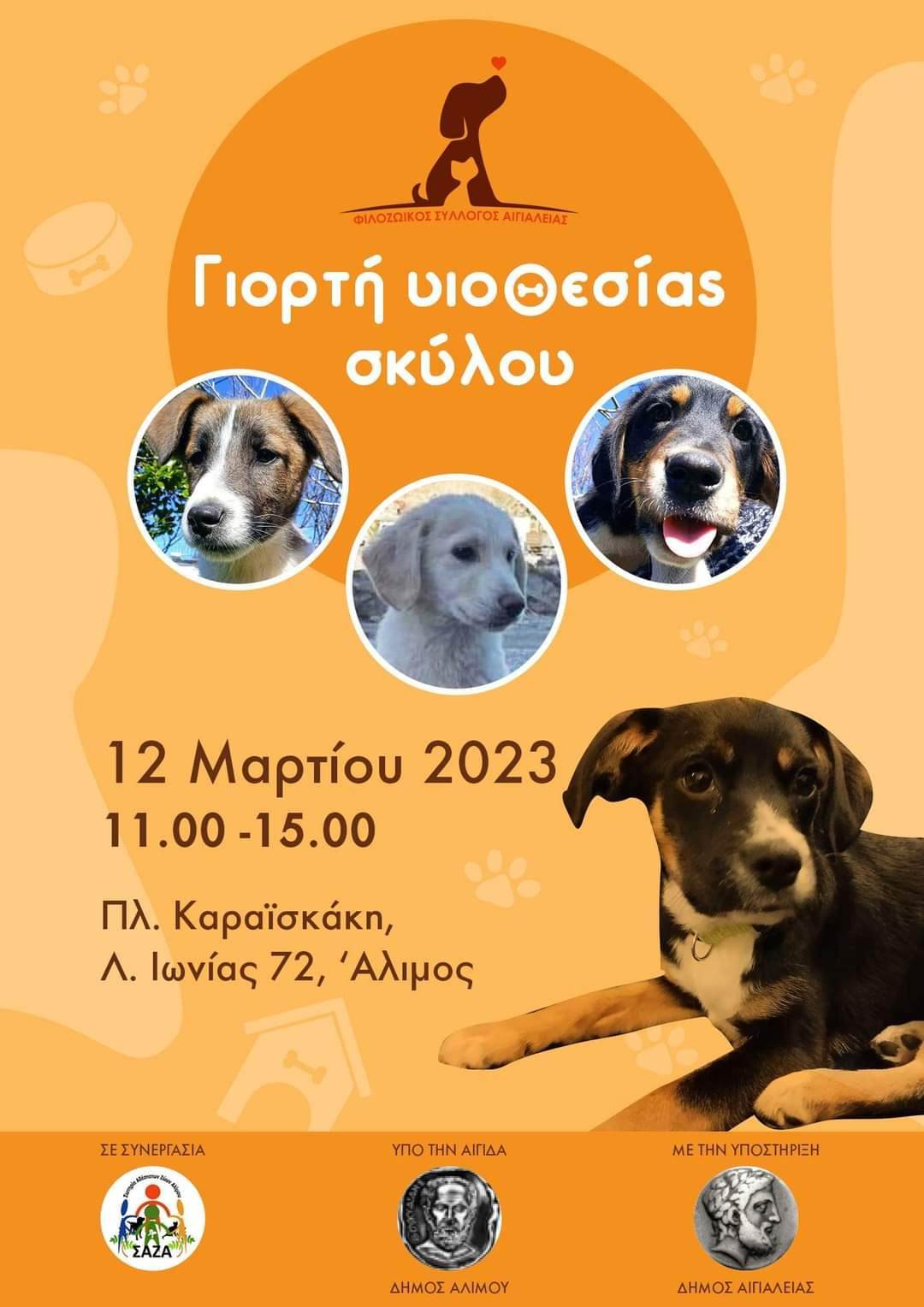 Δήμος Αλίμου: Γιορτή υιοθεσίας σκύλου την Κυριακή στο Πάρκο Σκύλων - ΚΕΔΕ