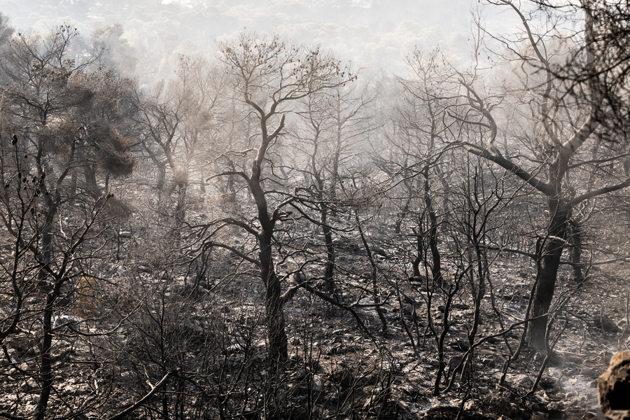 Σημαντικά βελτιωμένη η εικόνα της φωτιάς στην Πάρνηθα - Διάσπαρτες ...