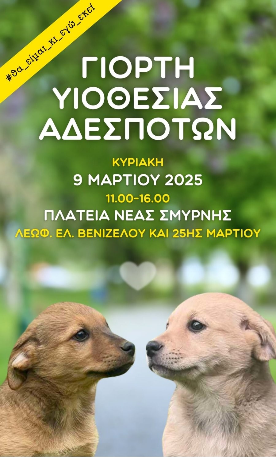 Δήμος Νέας Σμύρνης: Γιορτή υιοθεσίας αδέσποτων την Κυριακή 9 Μαρτίου - ΚΕΔΕ