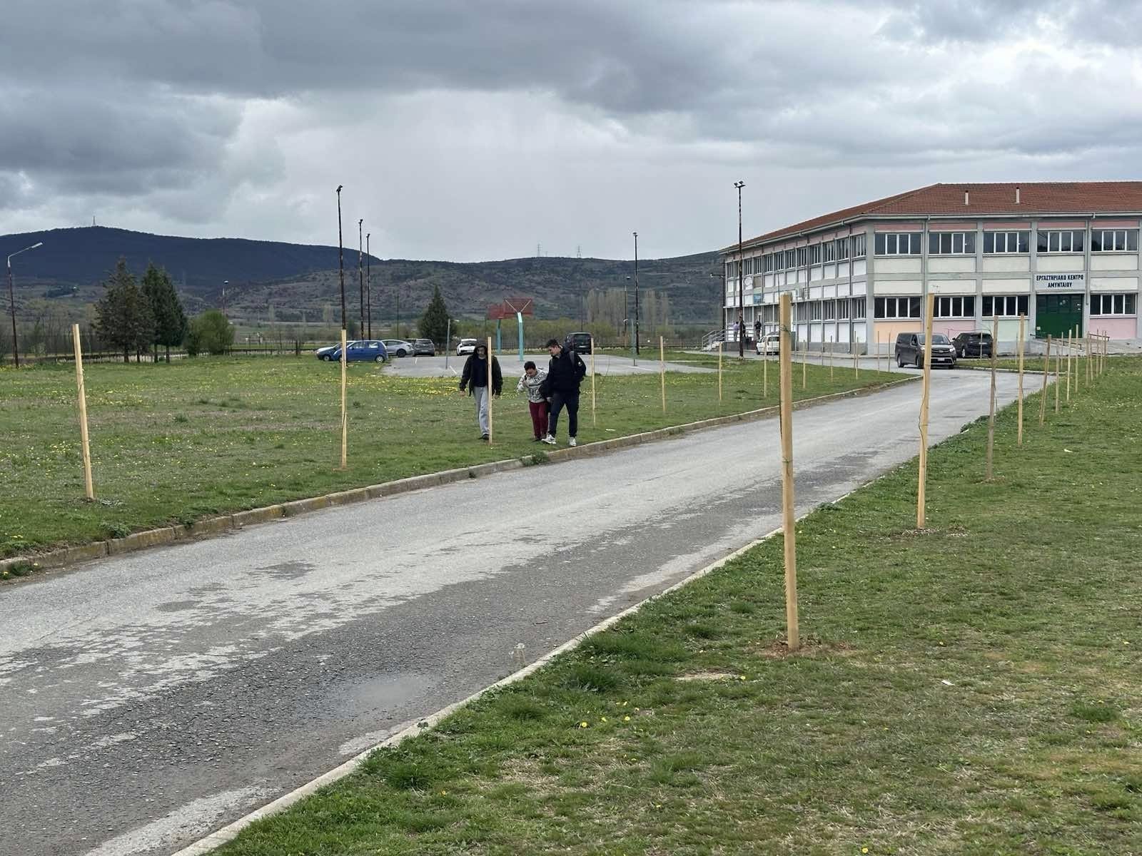 Δήμος Αμυνταίου: 80 δέντρα φυτεύτηκαν στον αύλειο χώρο του ΓΕΛ και του ...