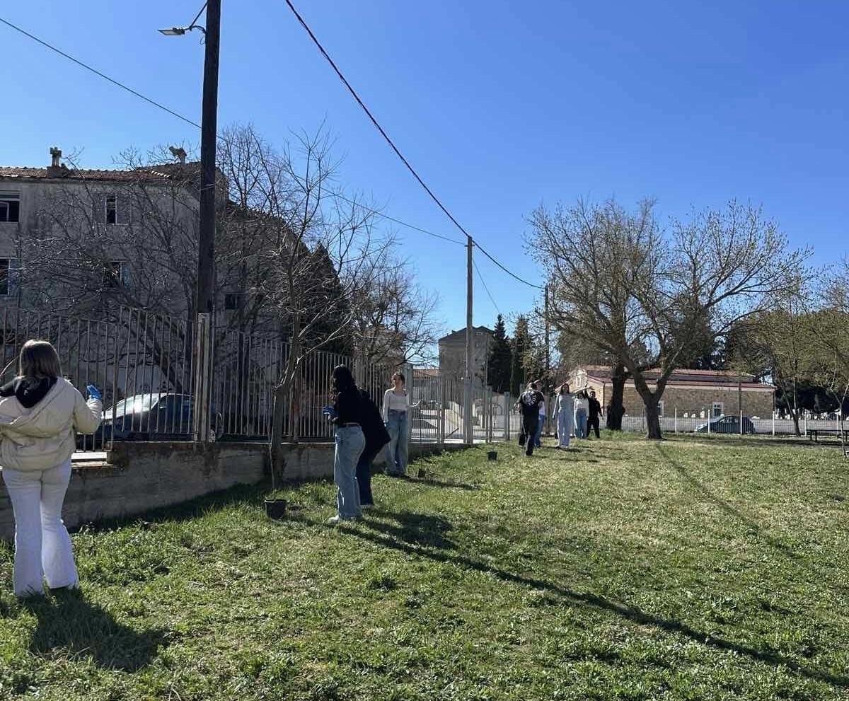 Δήμος Αμυνταίου: 80 δέντρα φυτεύτηκαν στον αύλειο χώρο του ΓΕΛ και του ...
